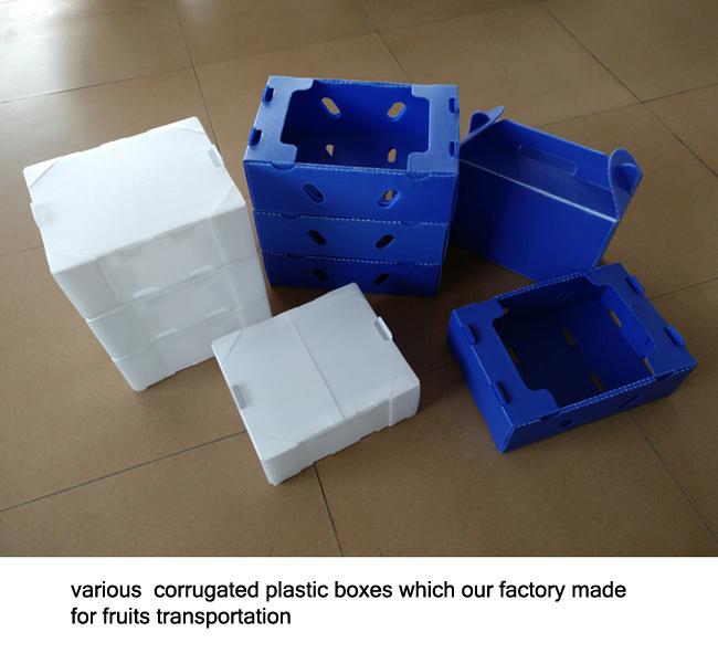 PP Or PE Material Plastic Core flute Sheets For Making Plastic Boxes