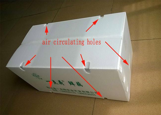 Collapsible Plastic Boxes With Air Circulating Holes For Transporting ...