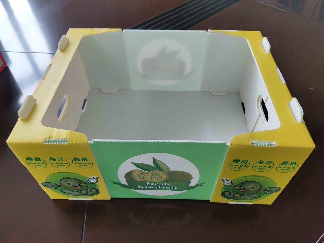 Reusable Plastic Fruit Box with Customized Capacity and Ventilation ...