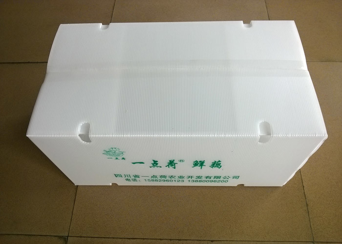 Collapsible Plastic Boxes With Air Circulating Holes For Transporting ...